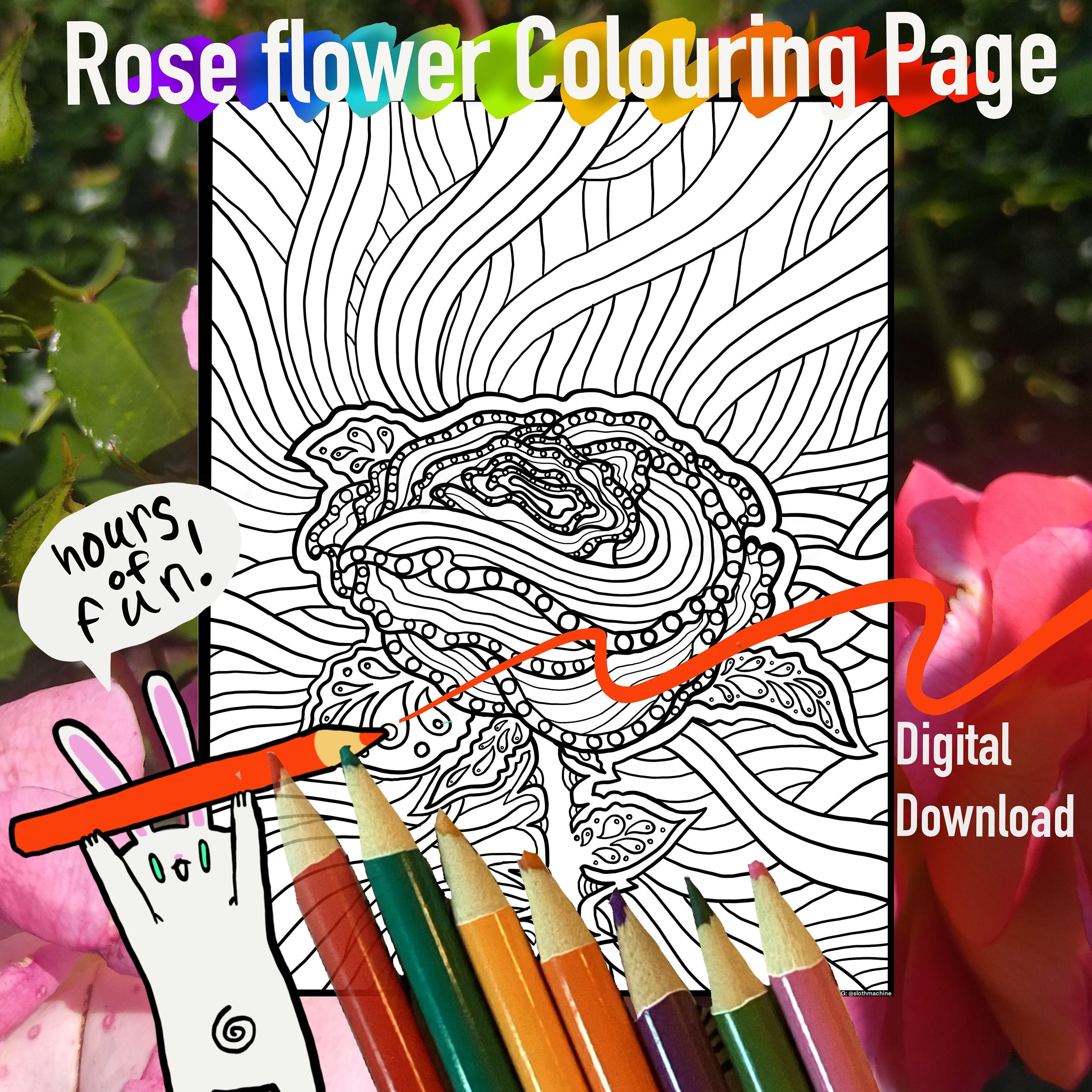 Rose Flower Colouring Page for Meditation JPG/PDF - Etsy