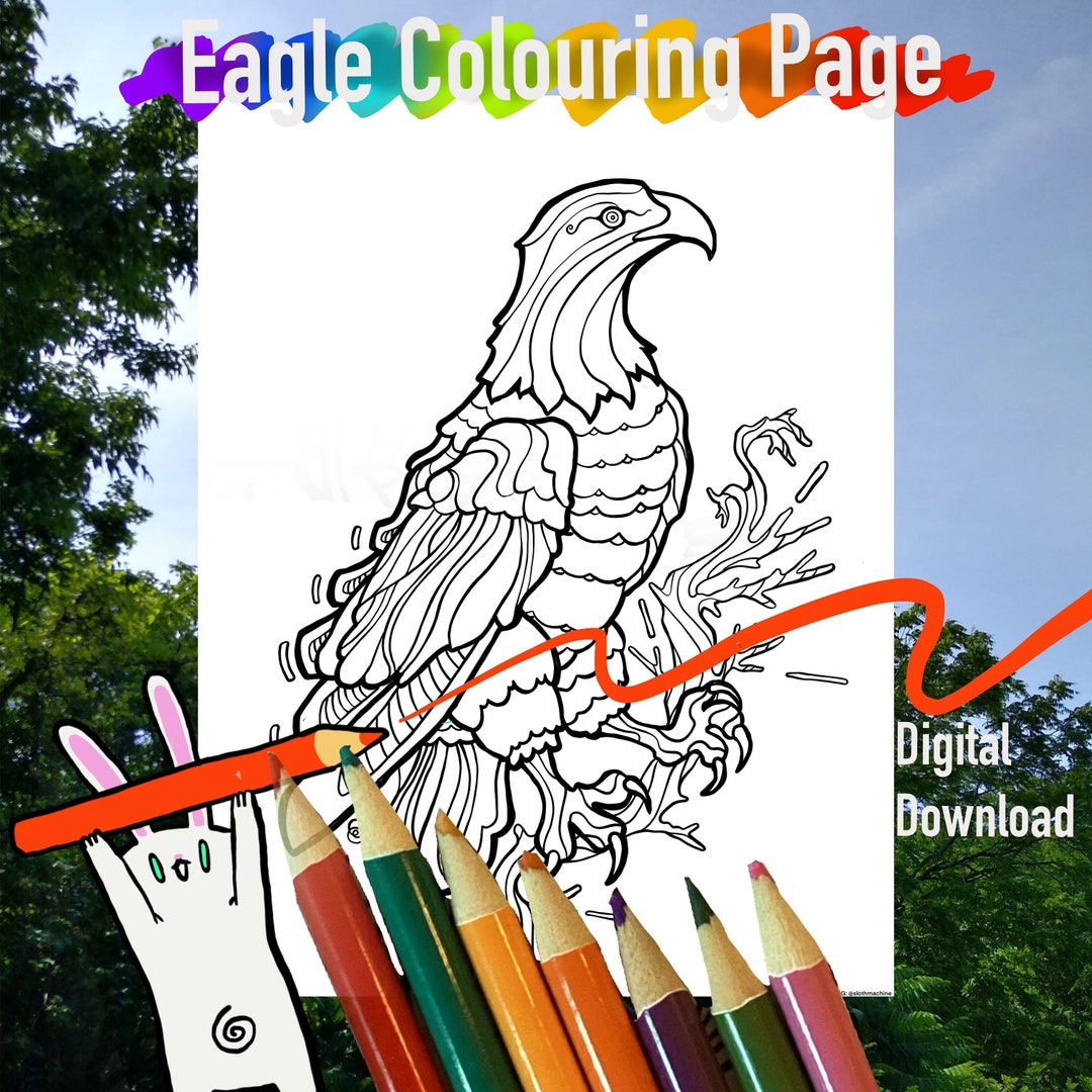 Unique Drawing High Detail Adult Colouring Page for Meditation Abstract ...