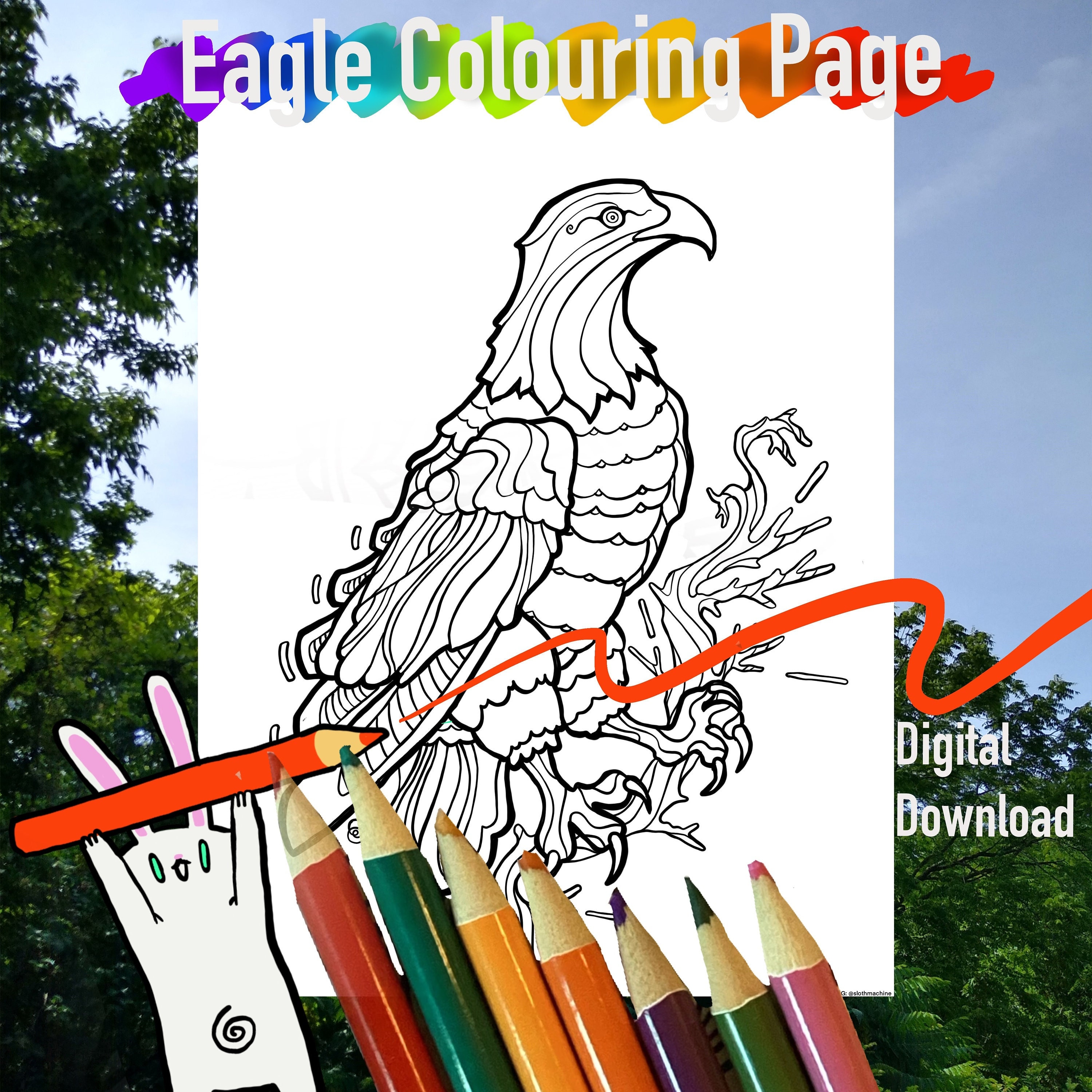 Unique Drawing High Detail Adult Colouring Page for Meditation Abstract ...