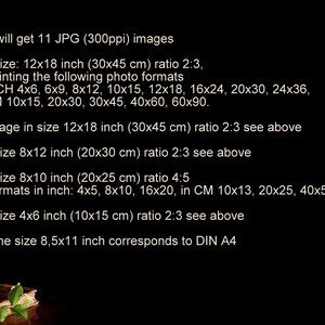 Edgar Allan Poe Gothic Literature Quote Wall Collage Kit, Poe Quote ...