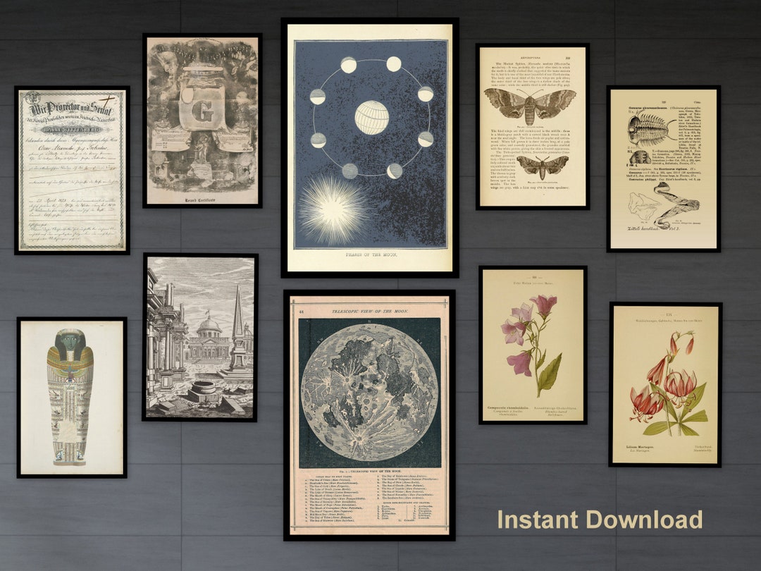 Dark Academia Decor, Bookish Gallery Wall Set Dark, 60 Pcs Wall Wollage ...