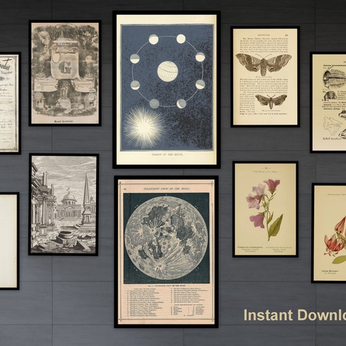 Dark Academia Decor Print Set Dark Academia Gallery Wall - Etsy