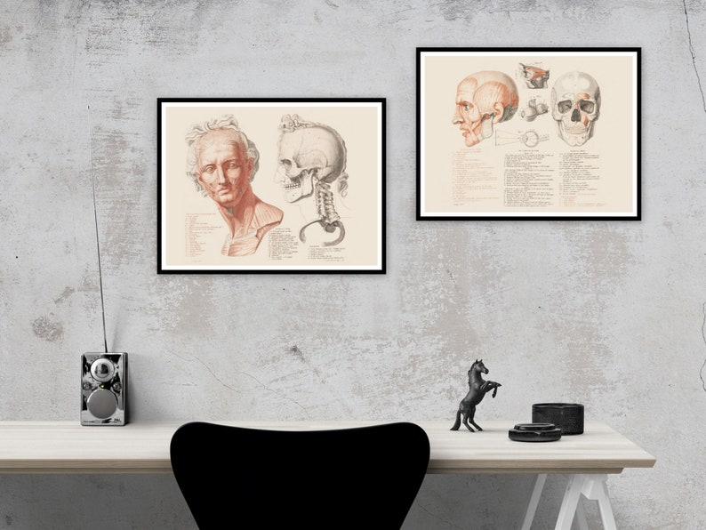 Printable Skull Wall Art Digital Download Skull Poster Human - Etsy