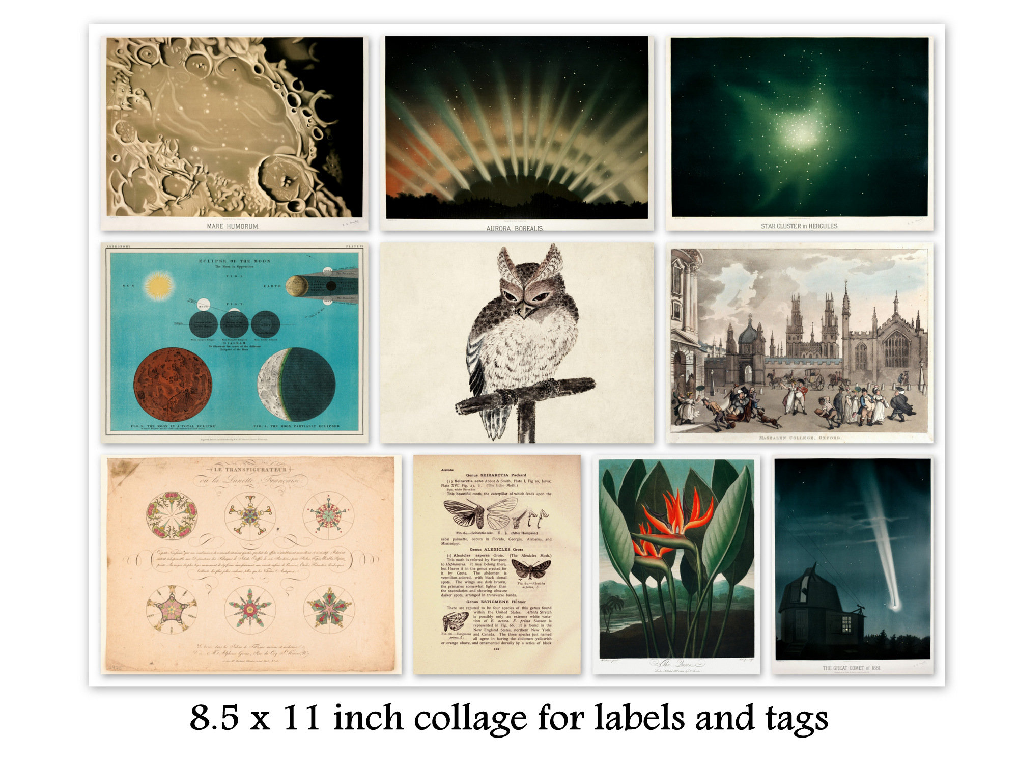 Dark Academia Poster Printable 60 Pcs Mix Dark Academia - Etsy UK