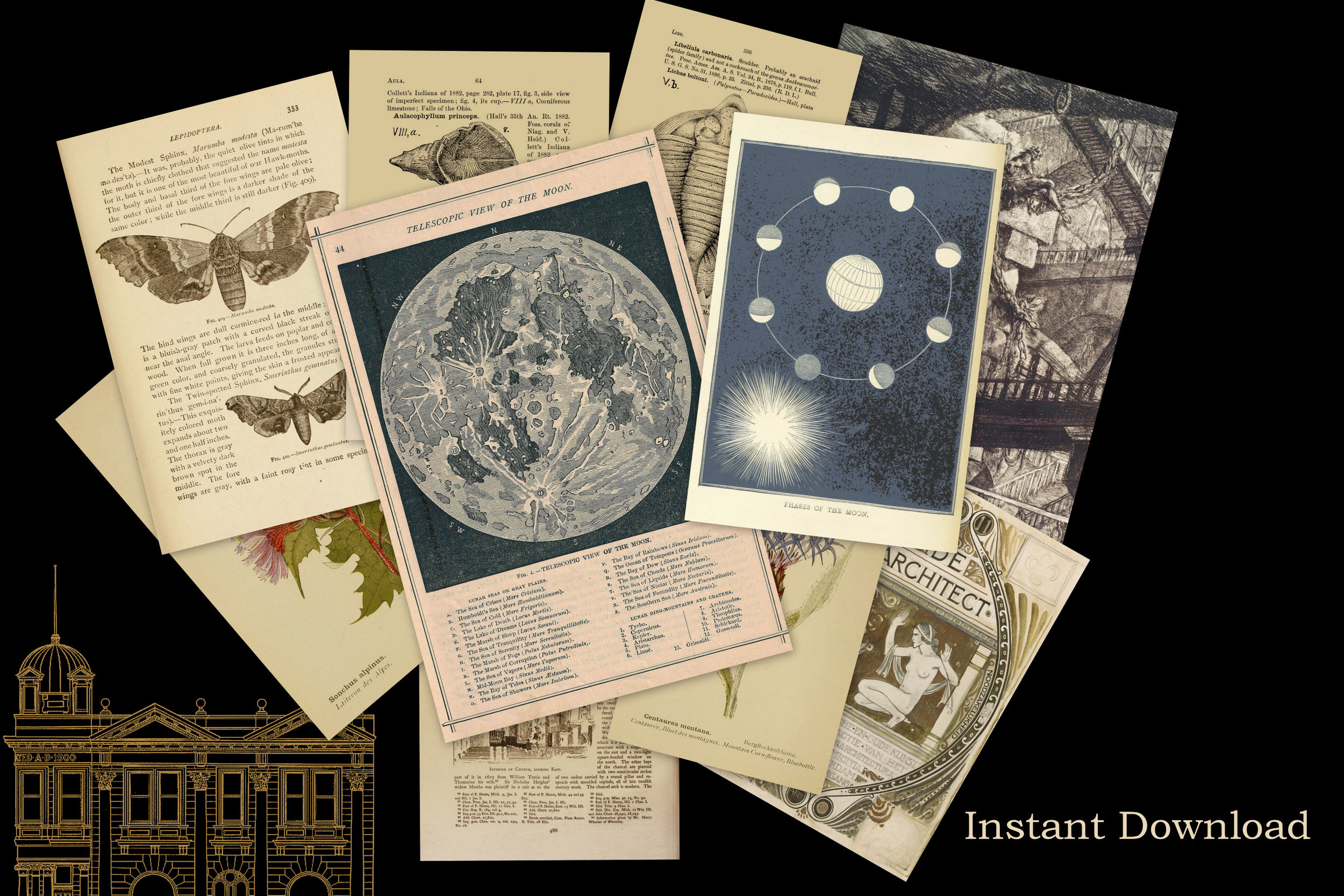 Dark Academia Poster, Dark Academia Wand Decor, Medieval Prints, Grunge ...