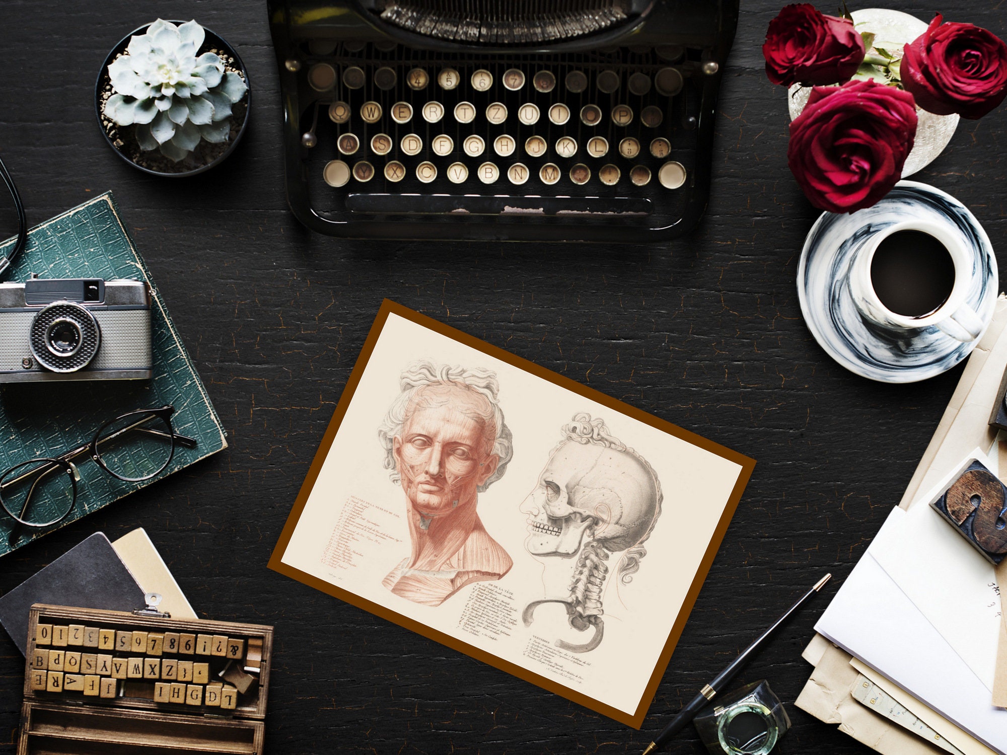 Printable Skull Wall Art Digital Download, Skull Poster Human, Gothic ...