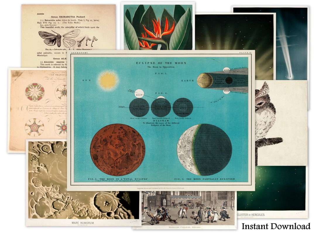 Dark Academia Poster Printable 60 Pcs Mix Dark Academia - Etsy UK