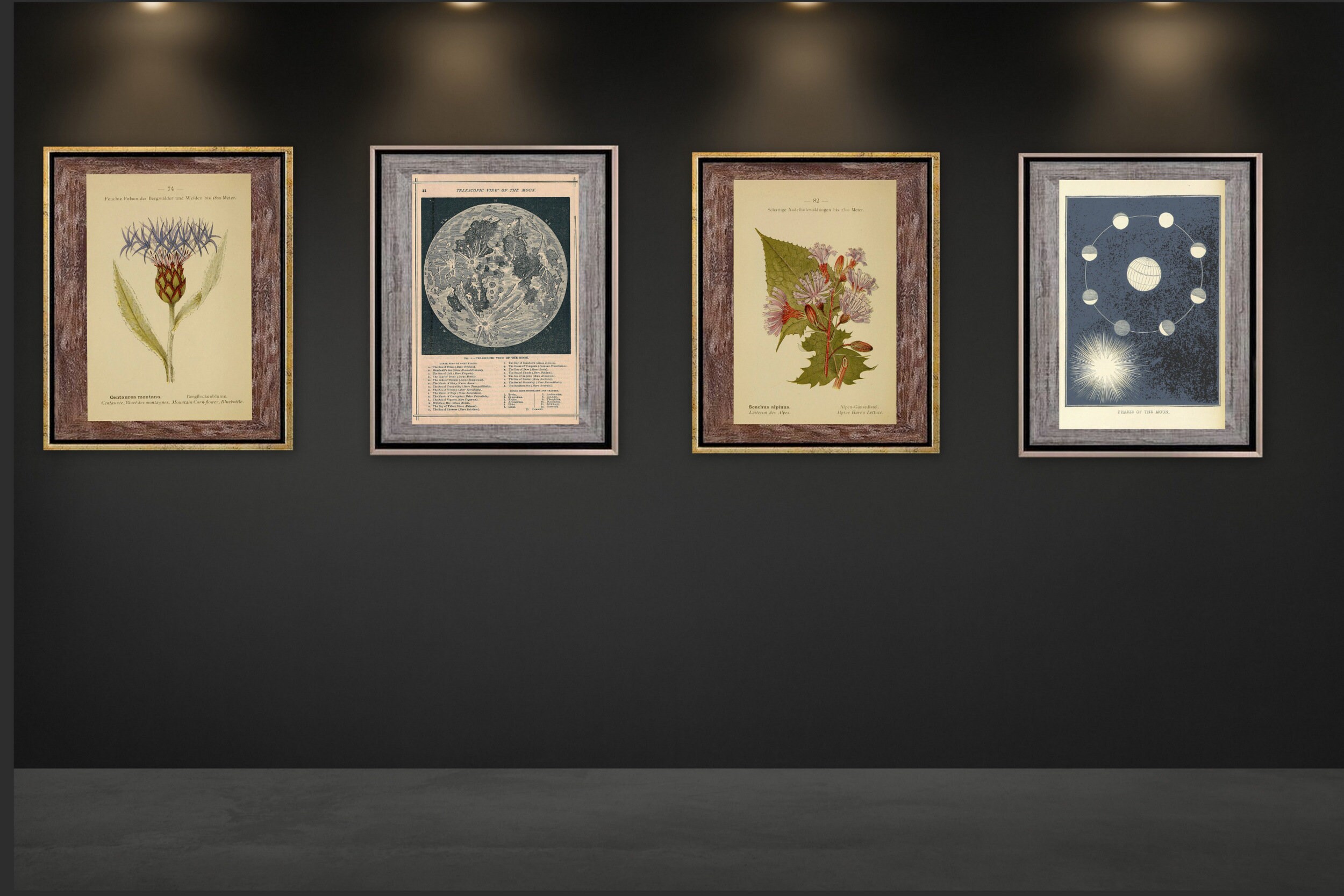 Dark Academia Poster, Dark Academia Wand Decor, Medieval Prints, Grunge ...