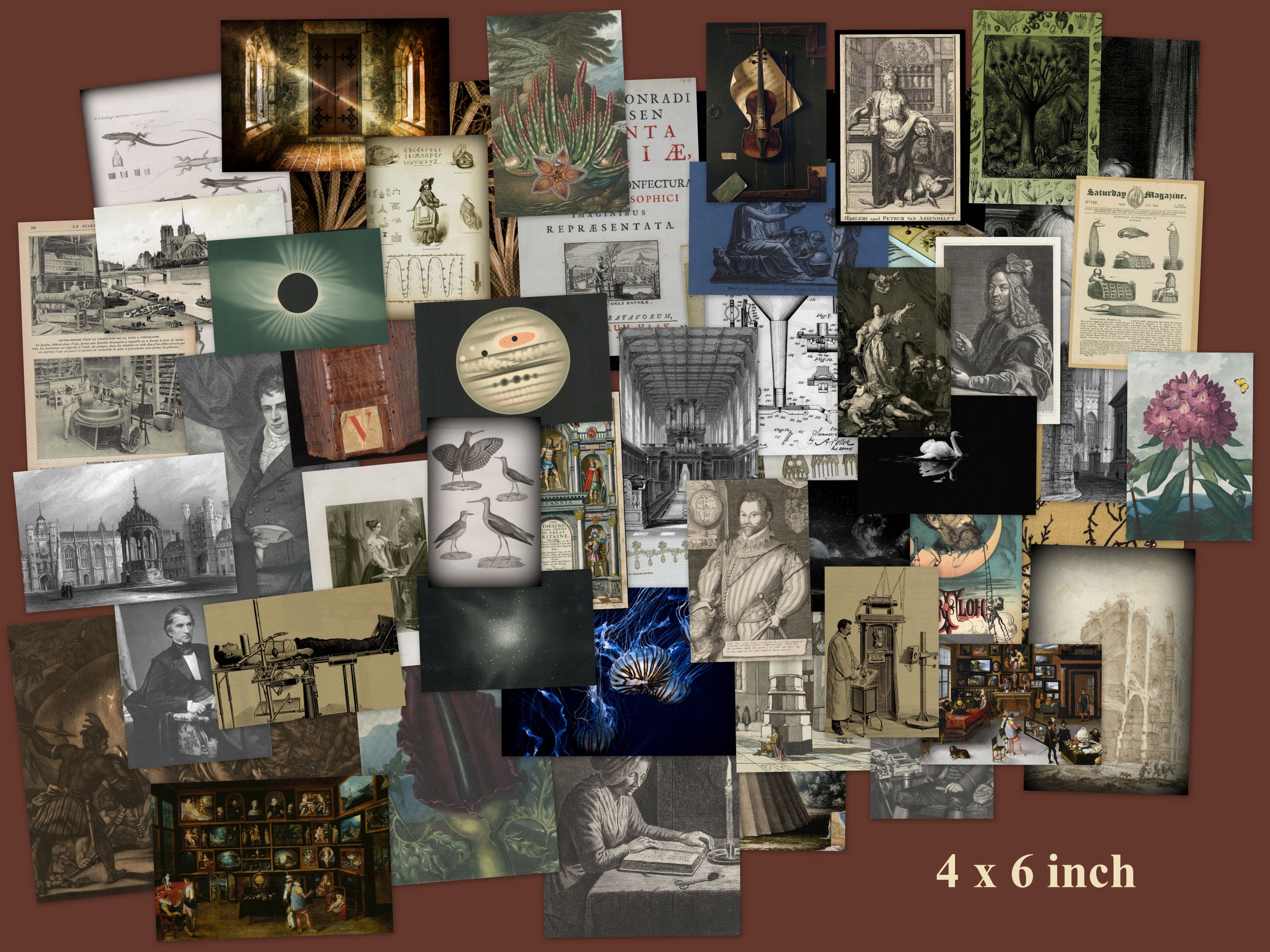 Dark Academia Poster Printable 60 Pcs Mix Dark Academia - Etsy UK