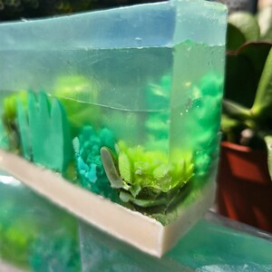 Succulent Soap: See-through Soap With Succulent Imbeds and an ...