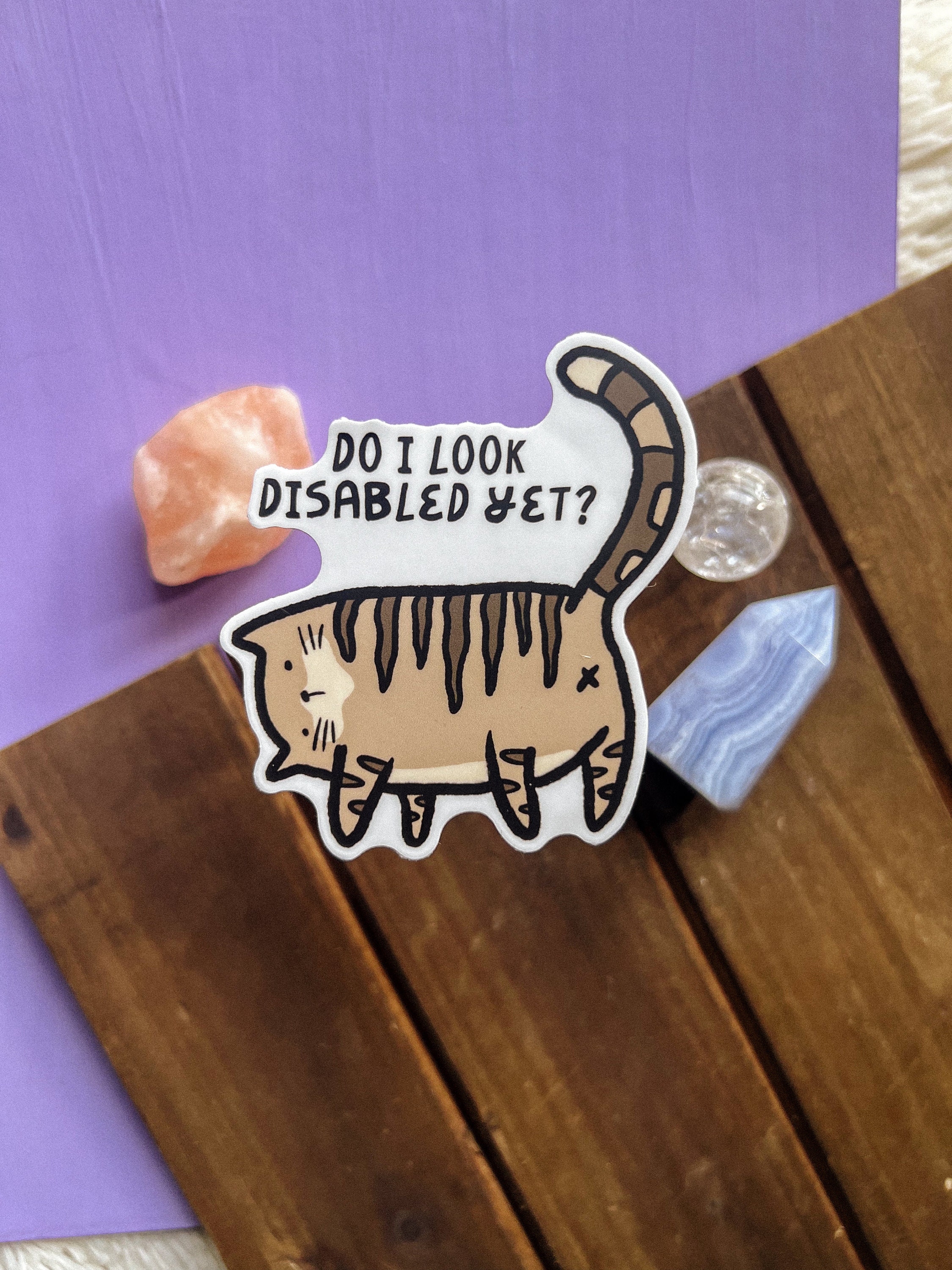Funny Disability Cats Sticker Pack Reader Humor Kitty Laptop Sticker ...