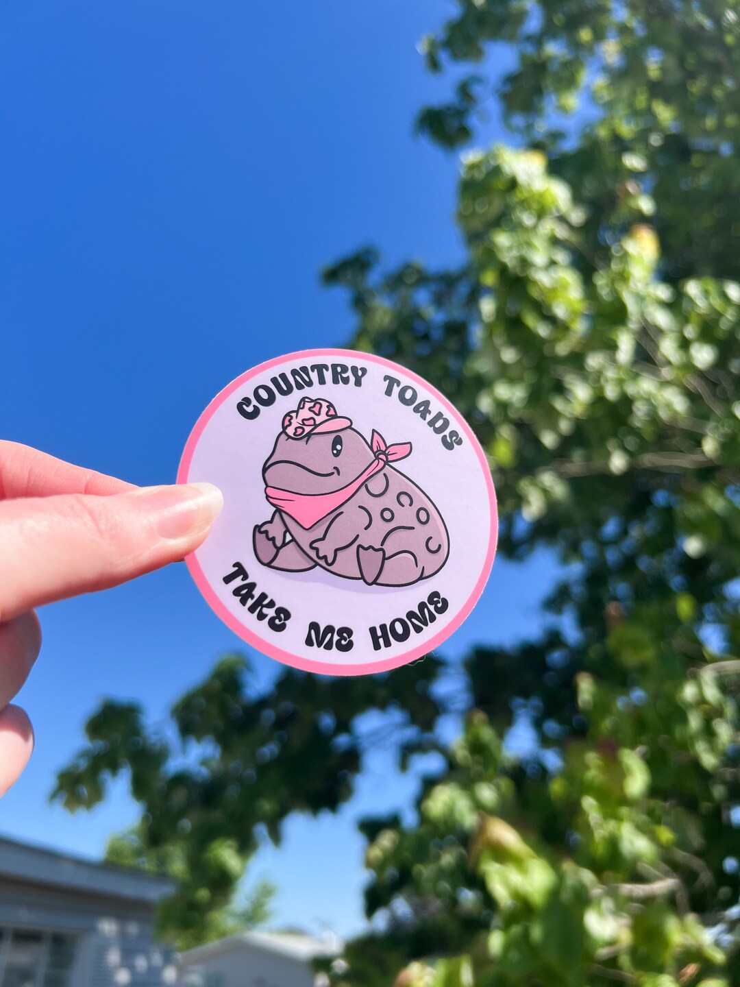 Country Toads Take Me Home Sticker Cowboy Humor Funny Country Girl ...