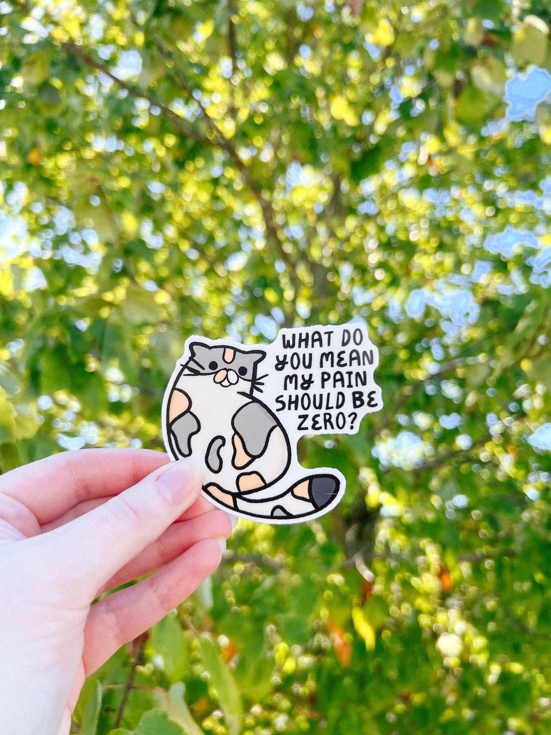 Chronic Pain Cat Sticker Invisible Funny Cat Disability Rare Disease ...