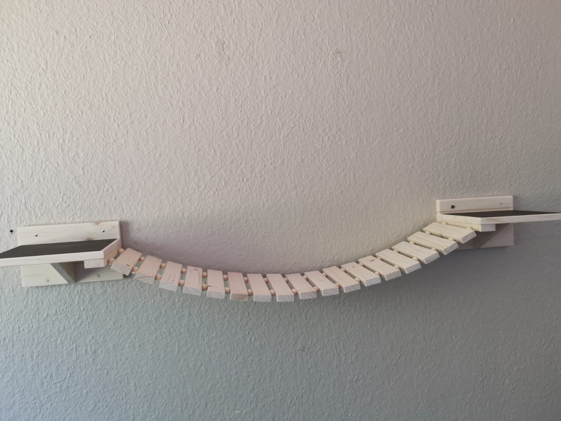 Catwalk Cats Cat Suspension Bridge Suspension Bridge Cat - Etsy