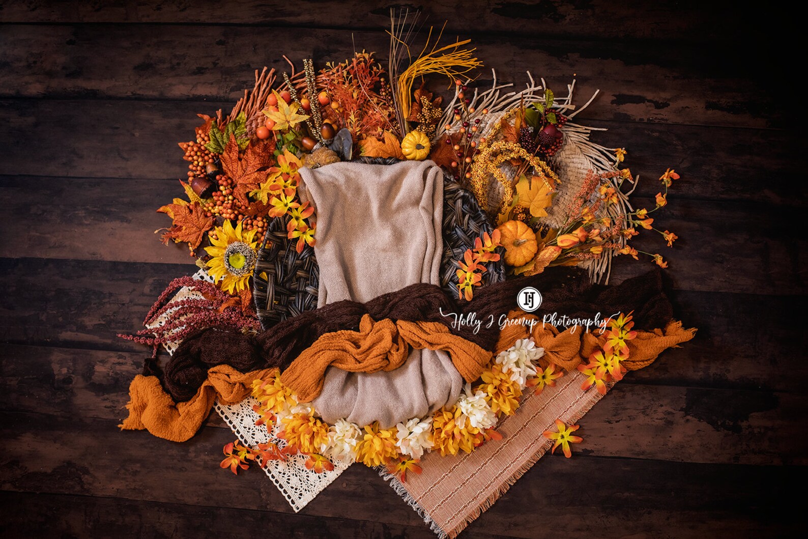 Fall Digital Backdrop, Newborn Baby Digital Backdrops, Digital ...