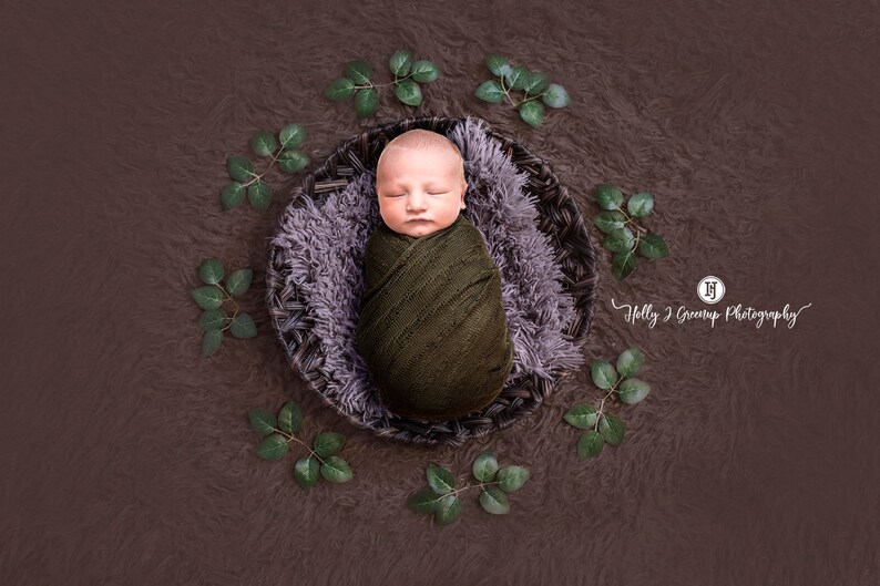 Newborn Digital Background: Simple Earth - Etsy