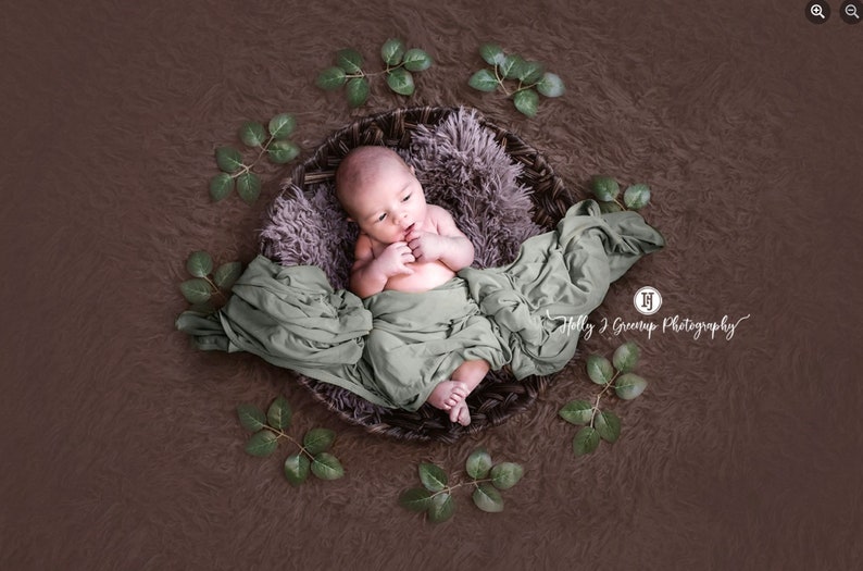 Newborn Digital Background: Simple Earth - Etsy