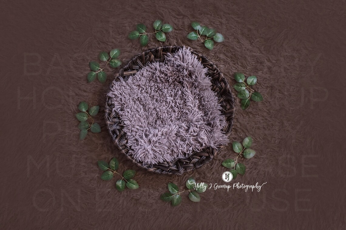 Newborn Digital Background: Simple Earth - Etsy