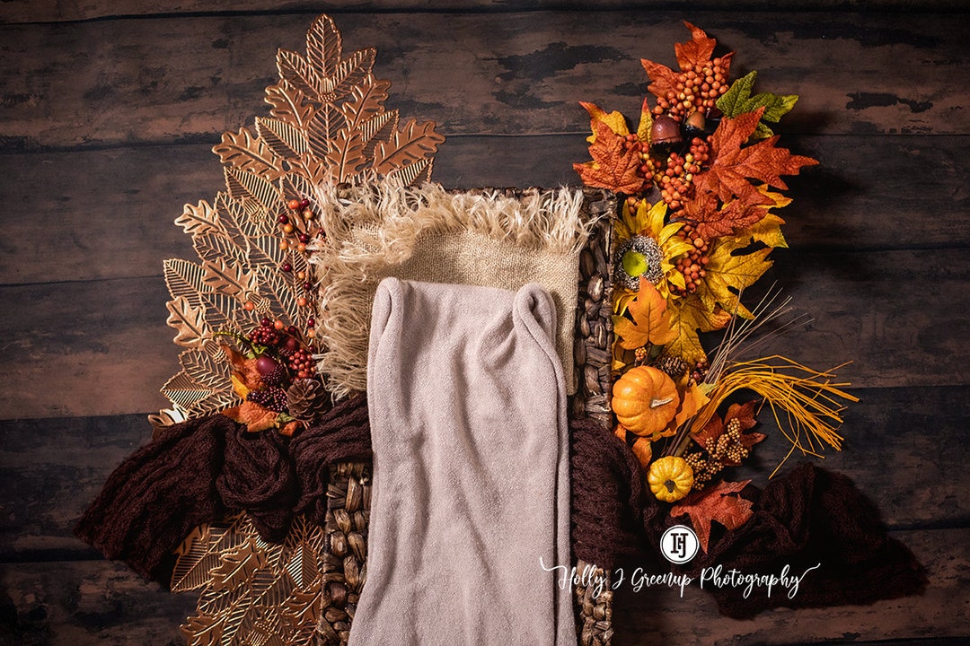 Fall Digital Backdrop, Newborn Baby Digital Backdrops, Digital ...