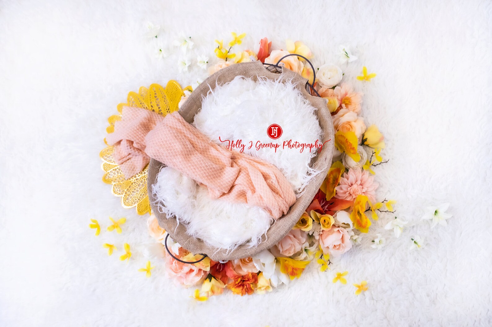 Newborn Digital Background: Yellow and Coral Flowers on White - Etsy