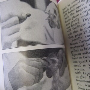 1930 Worm Capsules for Poultry - 1930 Booklet - Etsy