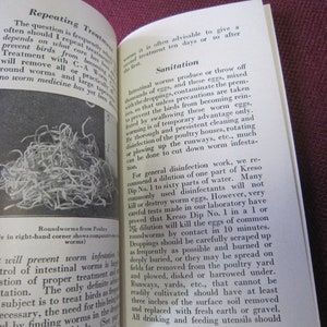 1930 Worm Capsules for Poultry - 1930 Booklet - Etsy