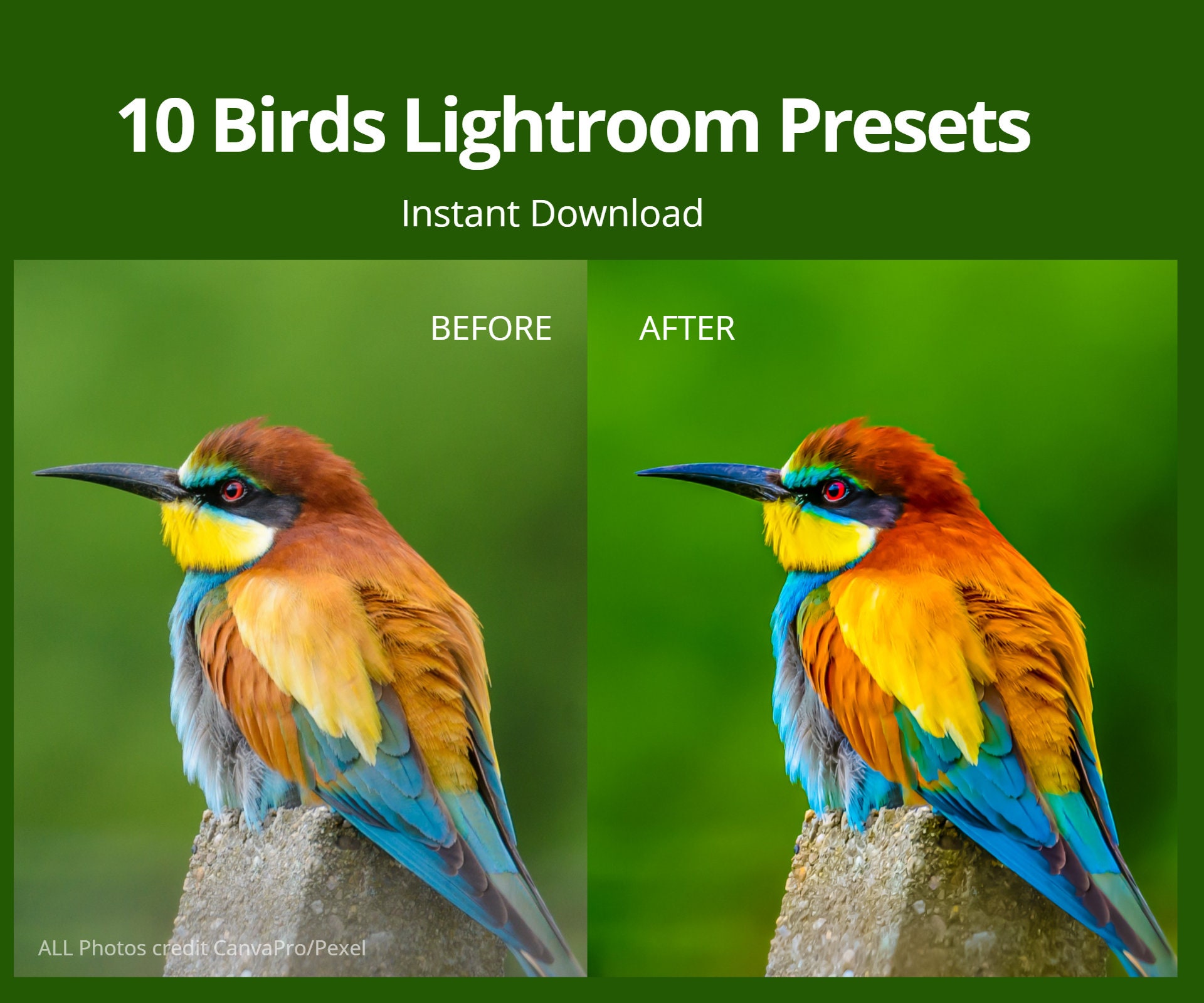 10 Lightroom Presets Photo Presets Wildlife Photography Presets Bird ...