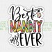 3 Best Nanny Ever Sticker Nanny Sticker Nanny Decal - Etsy