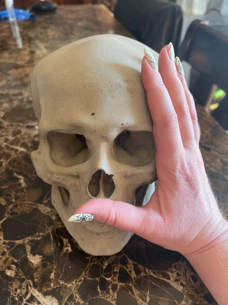 Cement Skull (large) - Etsy