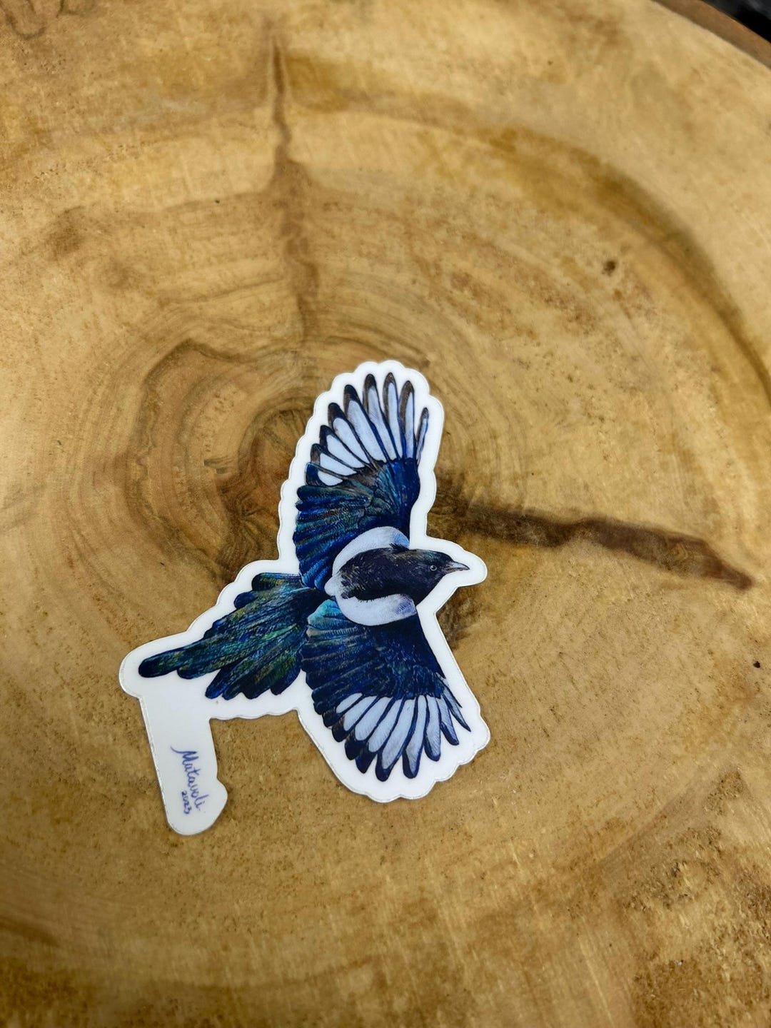 Magpie Bird Vinyl Sticker: Colorful Nature Art - Etsy