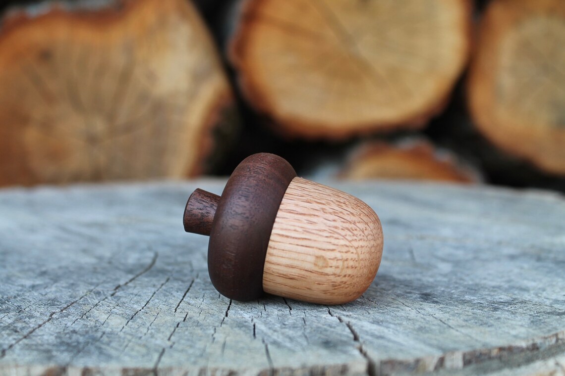 Walnut and Red Oak Acorn Box | Etsy