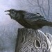 Raven on Maughold Cross Print: Celtic Pagan Wall Art - Etsy