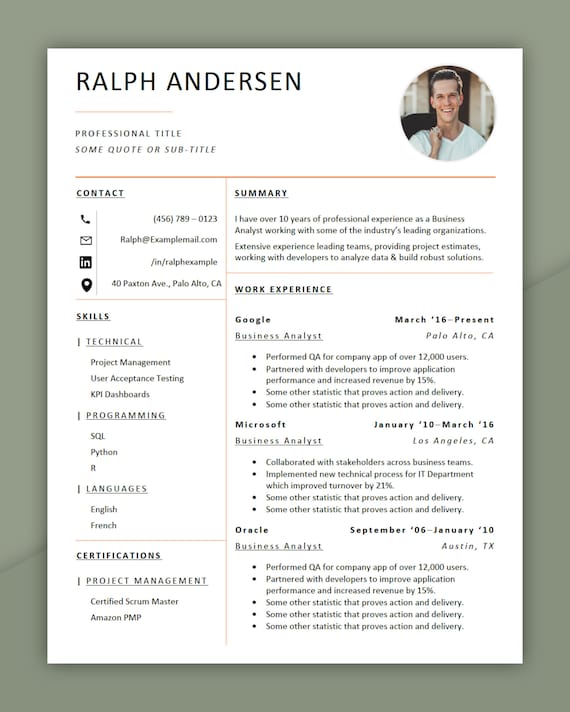Professional Resume Format In Word