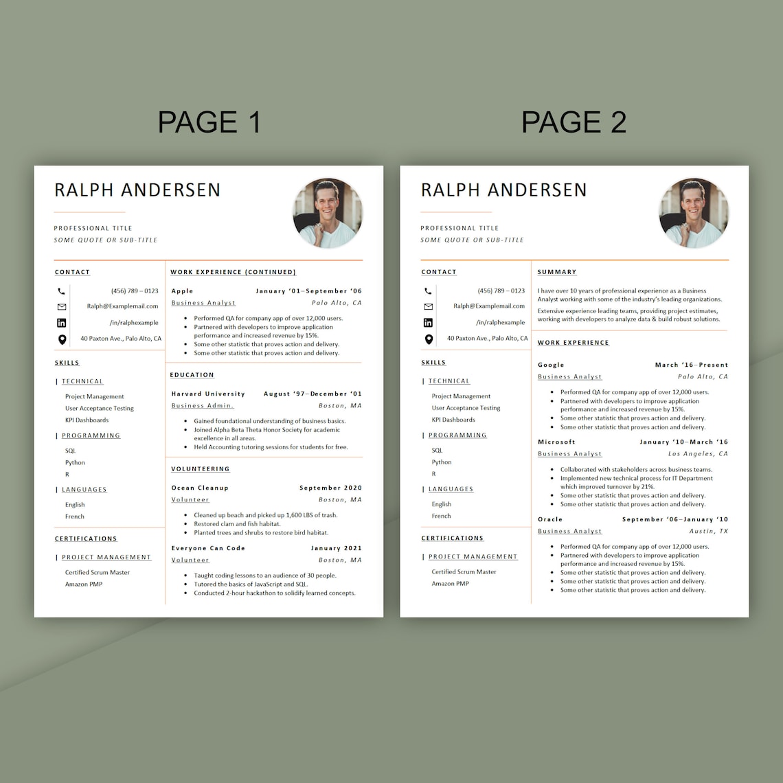 Professional Resume Template | 2 Page | MS Word Compatible | Easily ...