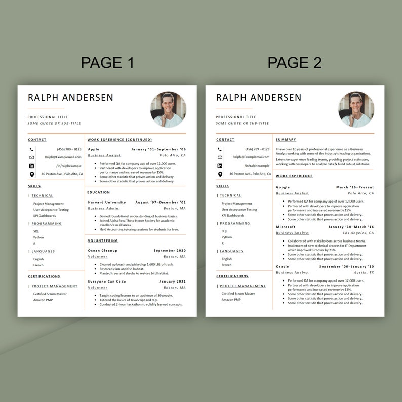 Professional Resume Template | 2 Page | MS Word Compatible | Easily ...
