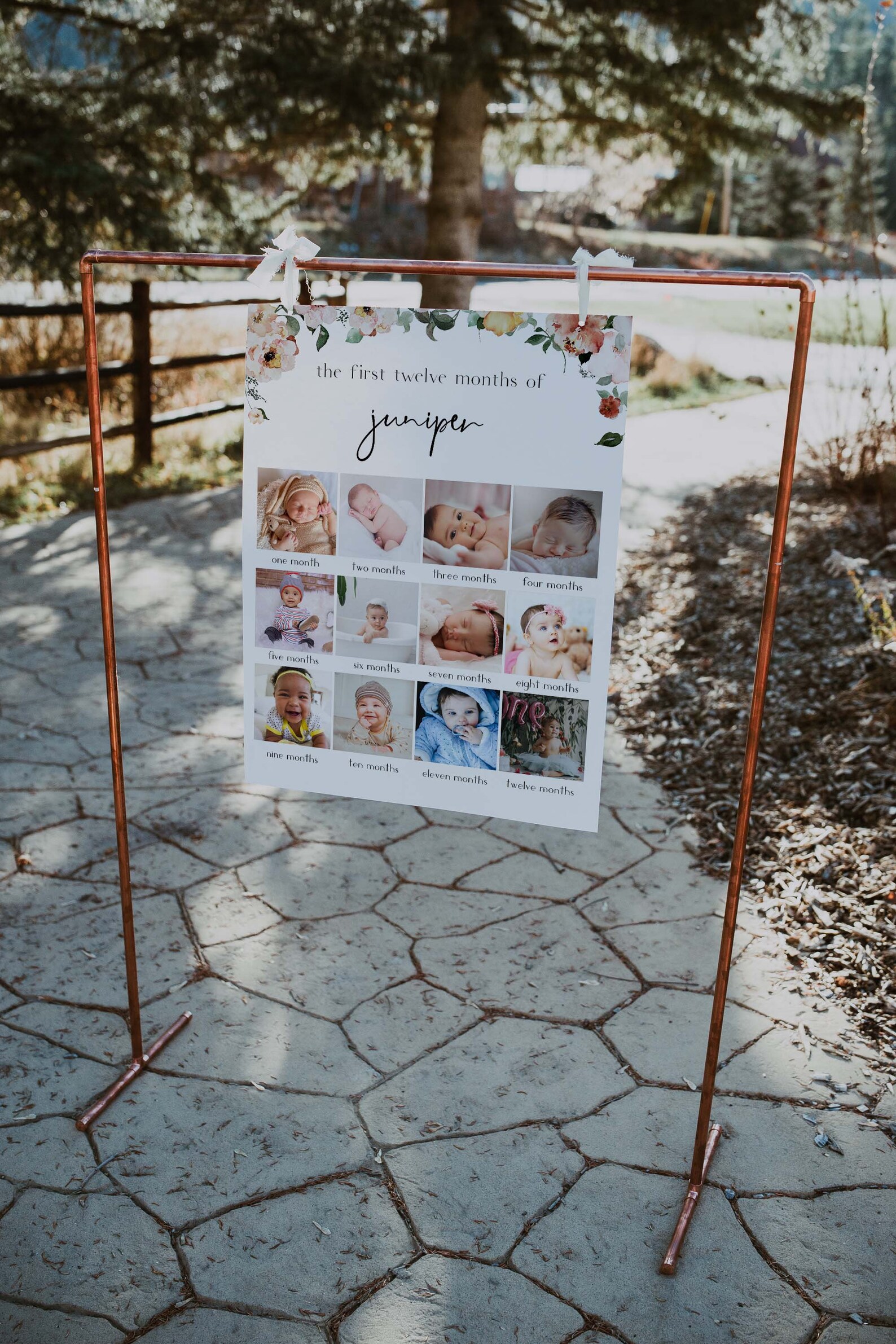 JOSS | First Twelve Month Picture Collage Poster Editable Sign Template ...