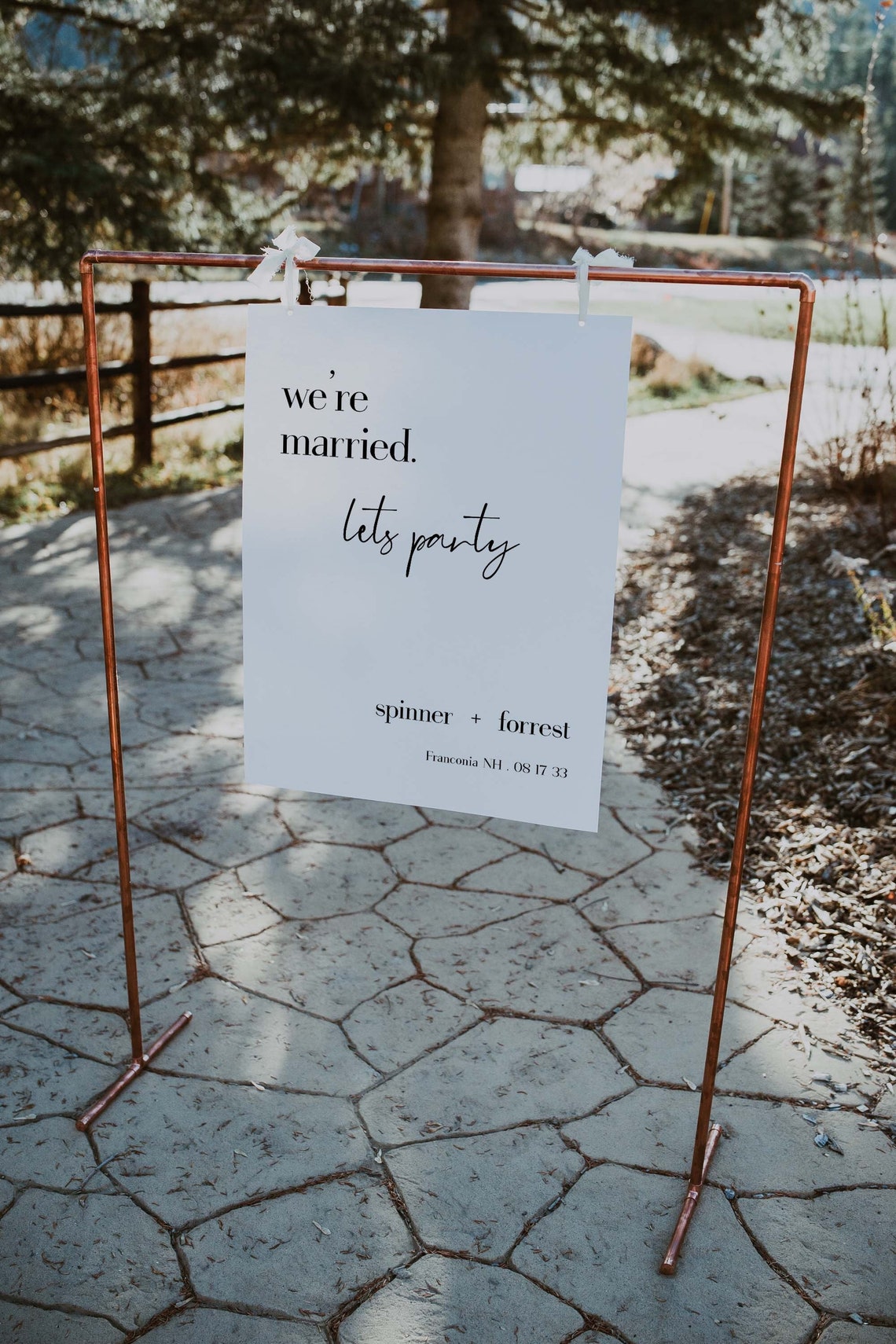 We're Married Lets Party Happily Ever After Wedding Ceremony Elopement ...