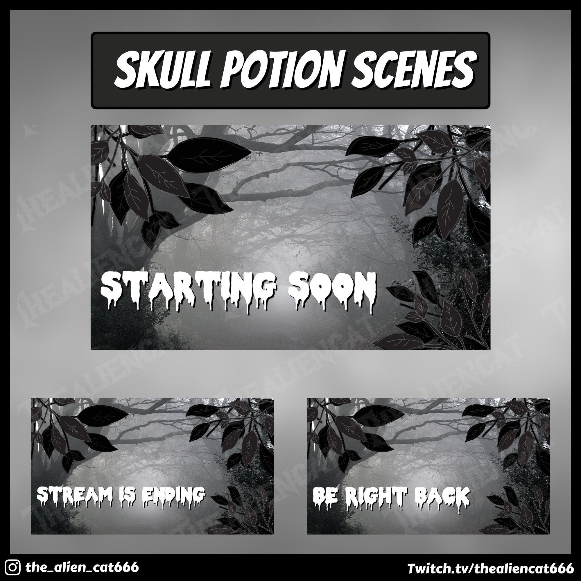 Skull Potion Package- Twitch, Youtube, Facebook, Calm, Dark, Goth ...