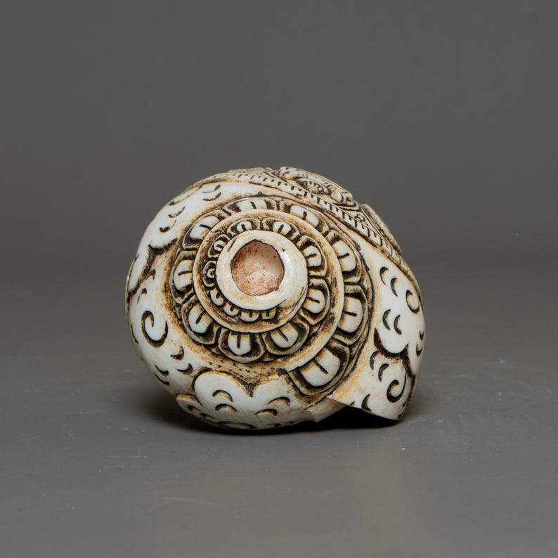 Carved Conch Shell: Auspicious Symbols, Buddhist Ritual Decor (7x10 ...