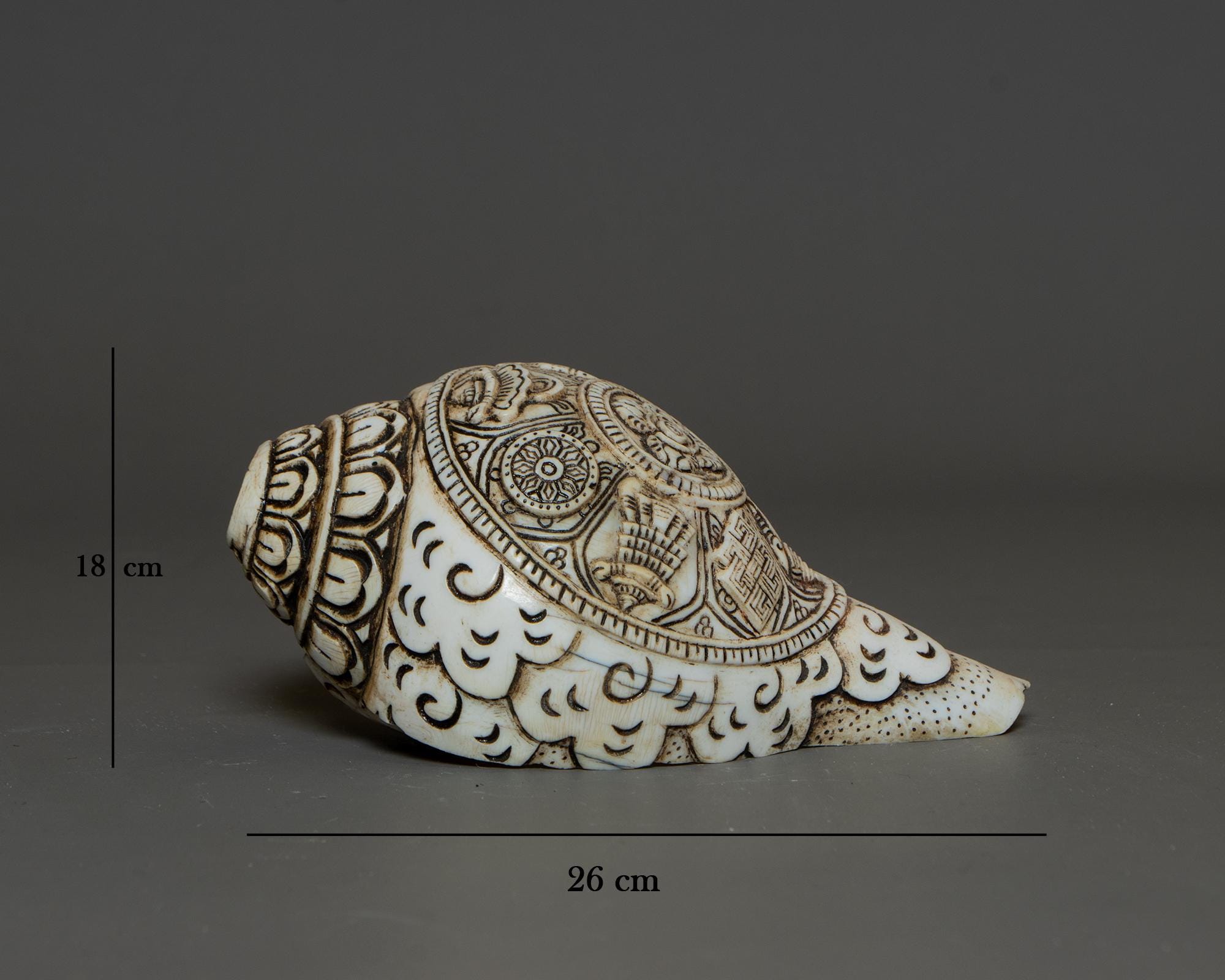 Carved Conch Shell: Auspicious Symbols, Buddhist Ritual Decor (7x10 ...