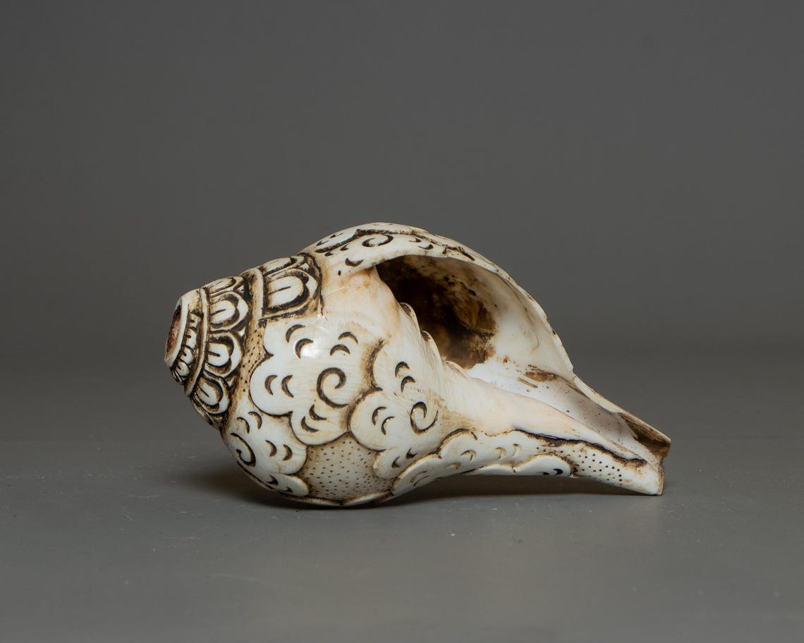 Carved Conch Shell: Auspicious Symbols, Buddhist Ritual Decor (7x10 ...