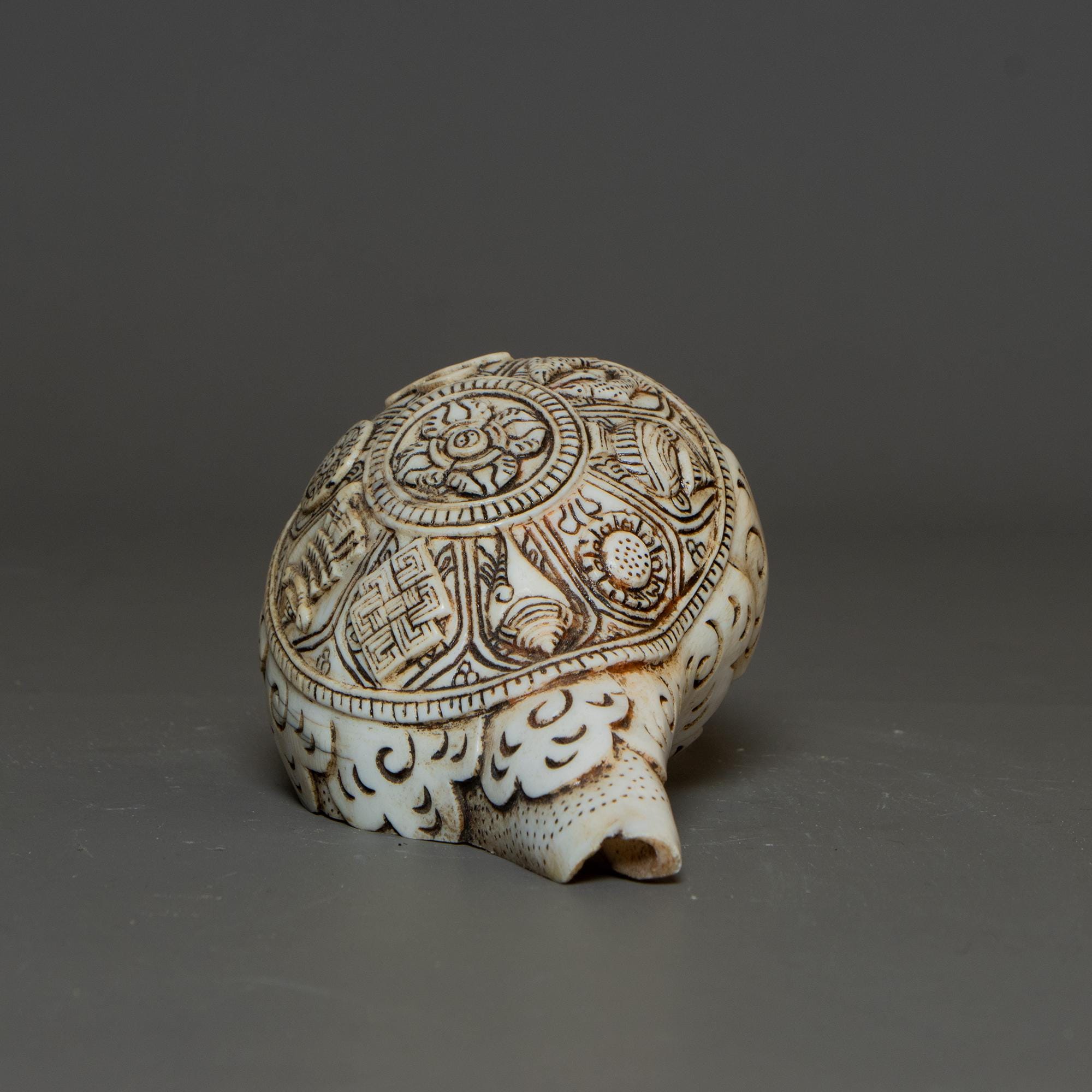 Carved Conch Shell: Auspicious Symbols, Buddhist Ritual Decor (7x10 ...