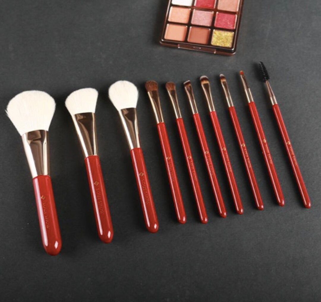 10 Pc Razer Red Brush Set With Black PU Bag - Etsy