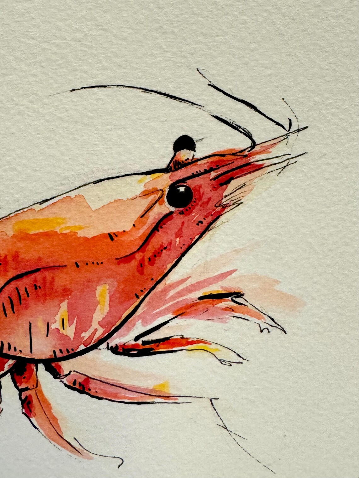 Original Shrimp Watercolor Art | Prawn Art | Seafood Art | Funny ...
