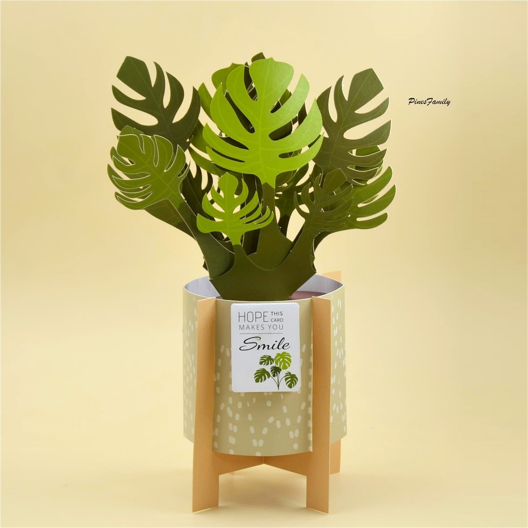 G12-3D Pop up Monstera Card for Birthday, Decoration, Thank You, Etc ...