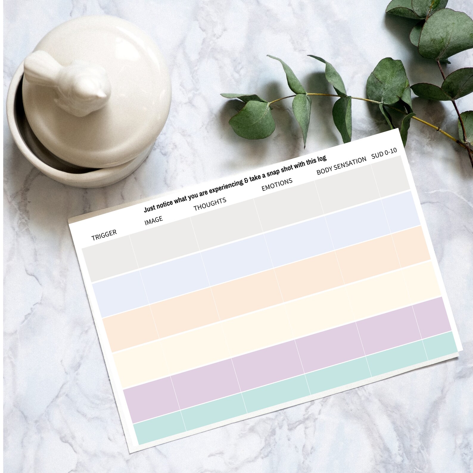 EMDR TICES Log | Therapy Worksheet | EMDR Therapists | Therapy Handout ...