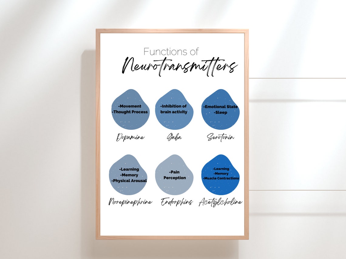 Neurotransmitters Wall Poster | Therapy Tools | Therapy Handouts ...