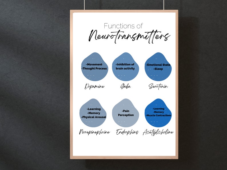 Neurotransmitters Wall Poster Therapy Tools Therapy - Etsy