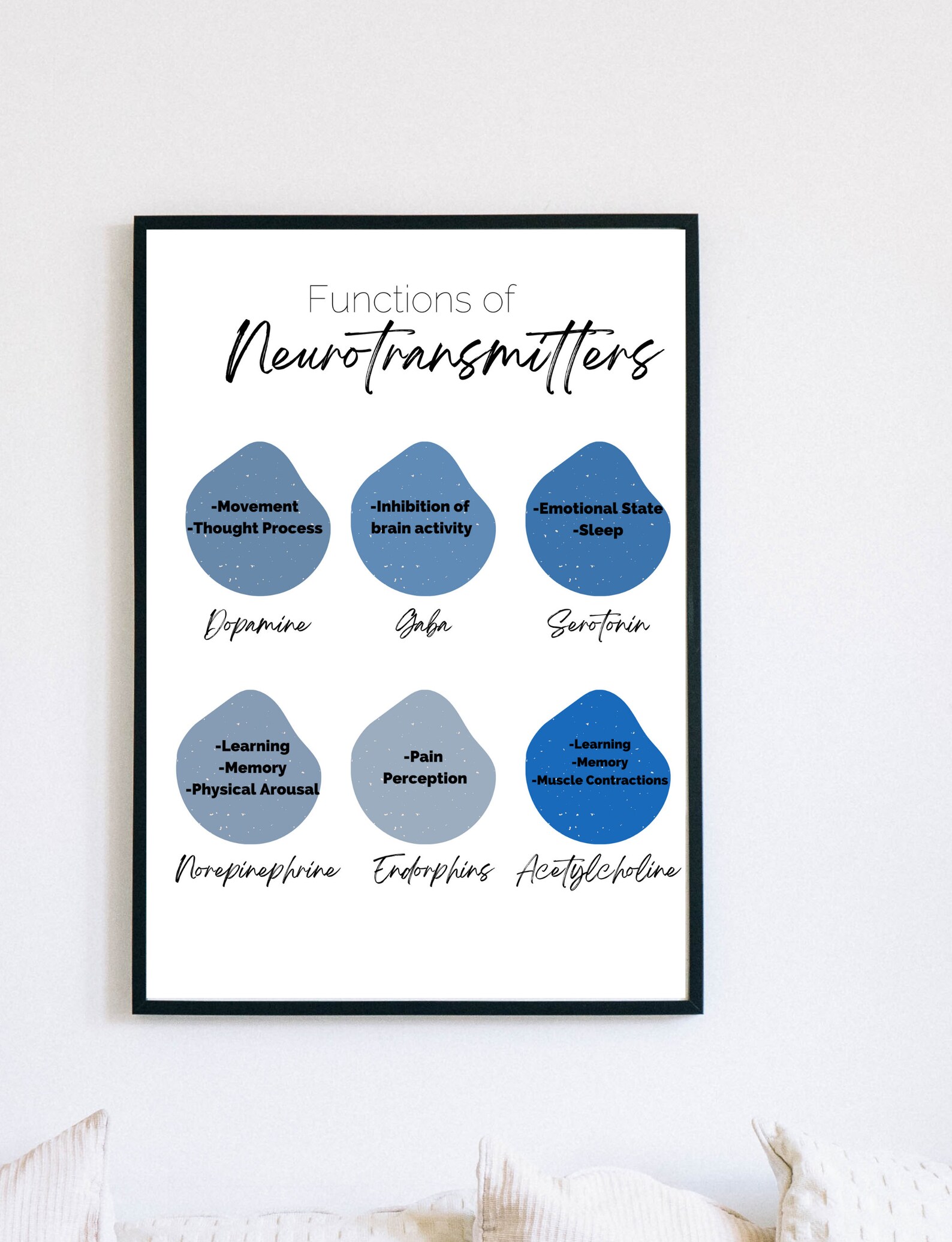 Neurotransmitters Wall Poster | Therapy Tools | Therapy Handouts ...