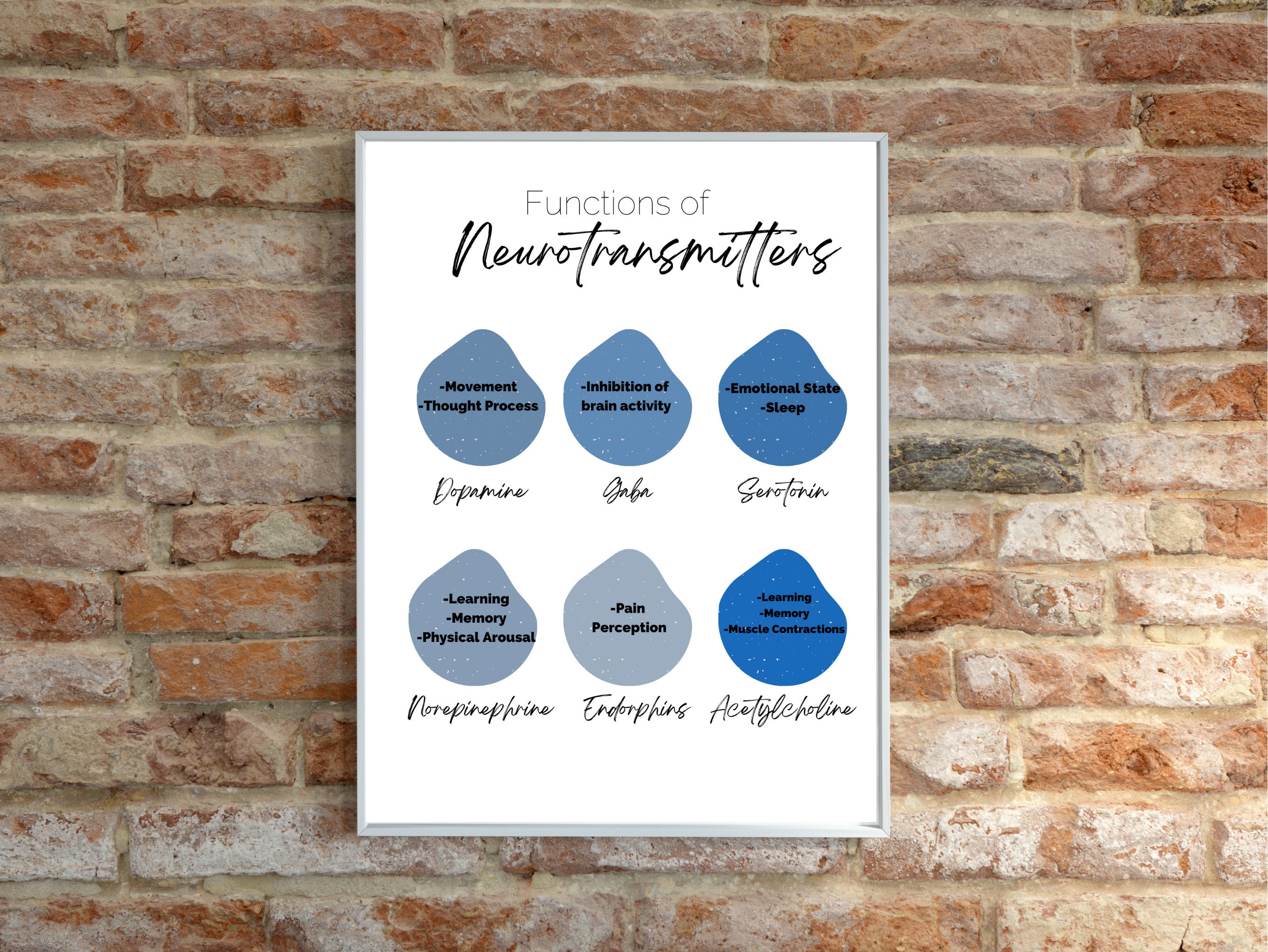 Neurotransmitters Wall Poster | Therapy Tools | Therapy Handouts ...